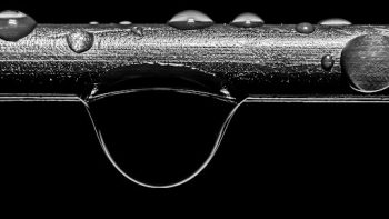 What Are Wet Location Cables? - Remee Wire and Cable